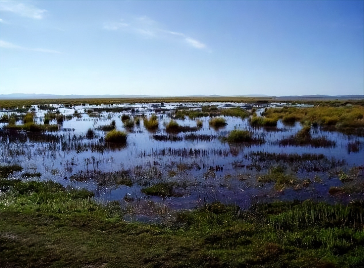 More than 80 years have passed, what happened to the grassland that ...