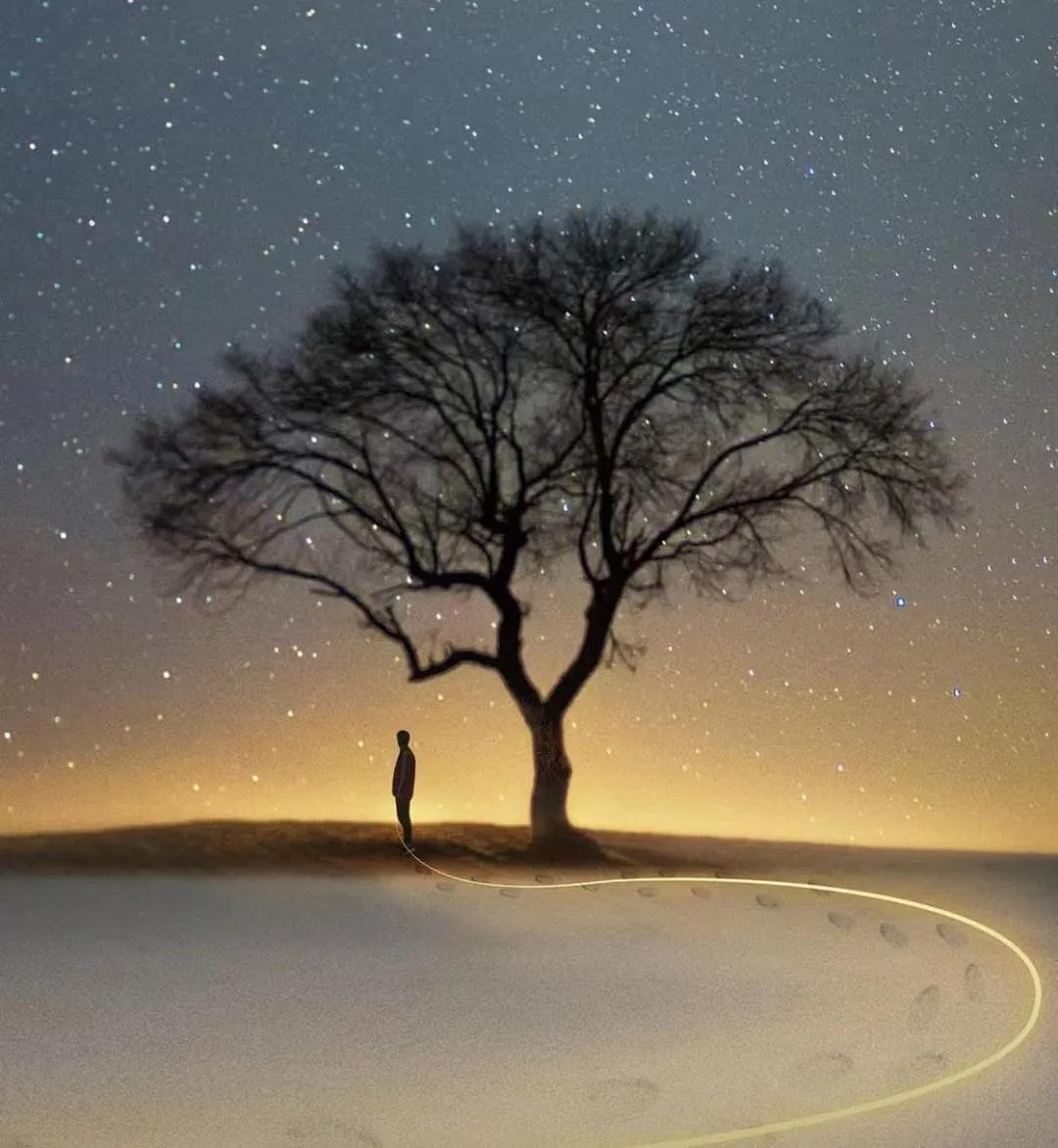 The Order of the Waves and Sands • Look at the Spring and Autumn (Feng ...