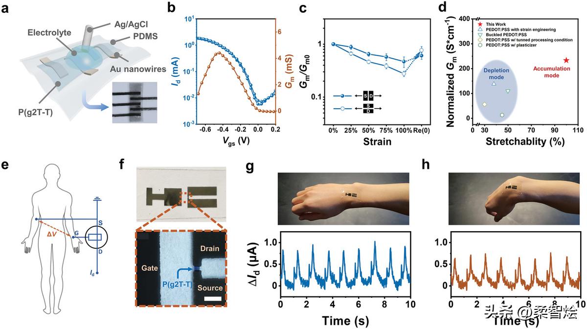 New stretchable, self-powered bioelectronic polymer material for ...