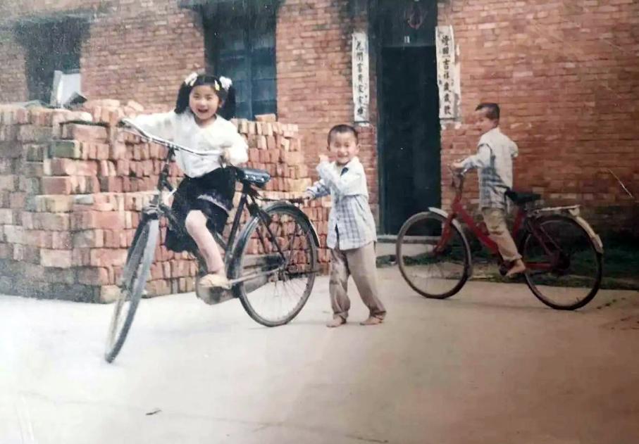 The third sentence of "Lime Song": Is it "smashing the body into pieces ...