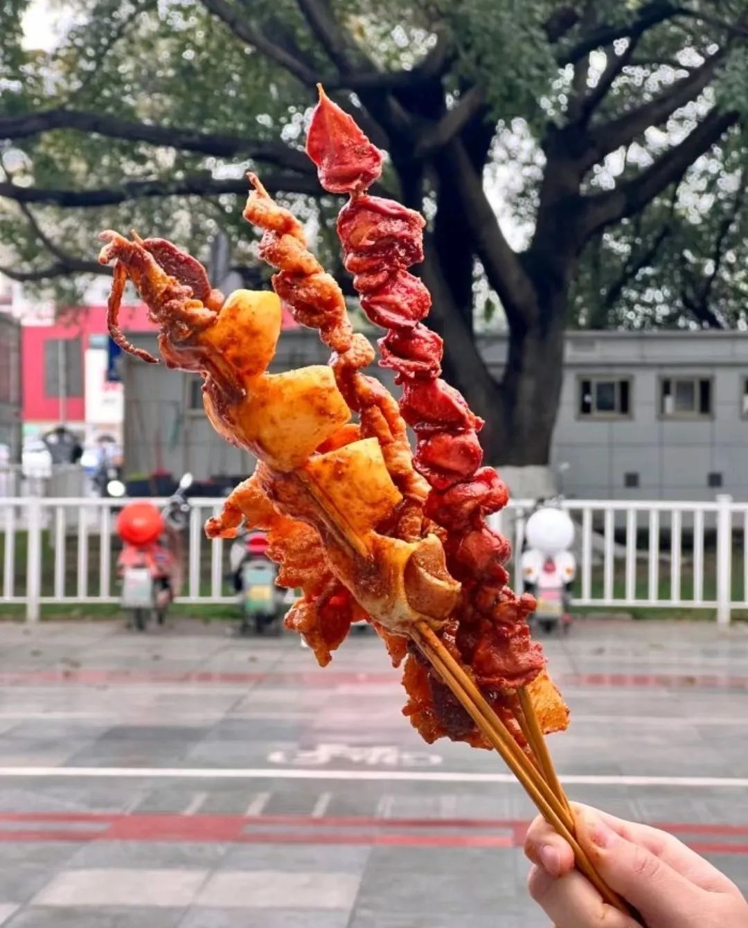A plate of food holy land for food lovers in Mianyang, @ food lovers go ...