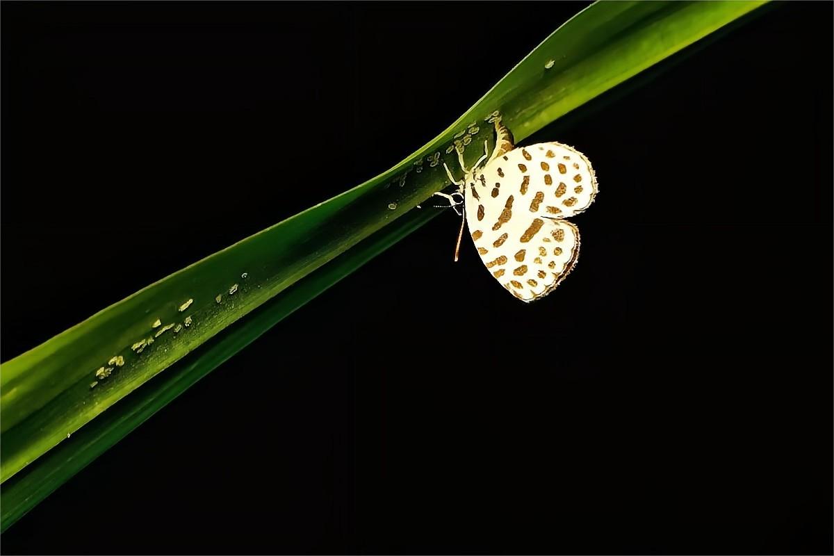 The most perverted and cruel creatures in the world are the same?all ...