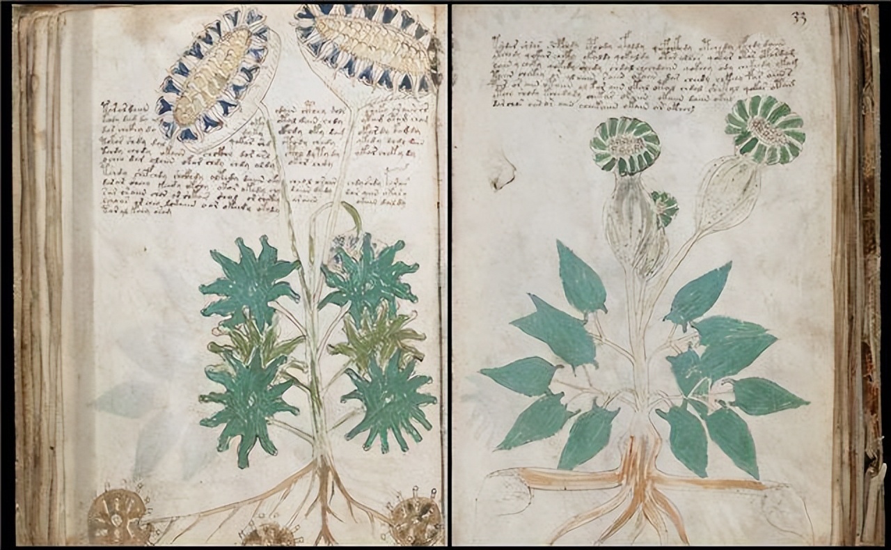 Scientists have discovered ancient mysterious manuscripts in an unknown ...