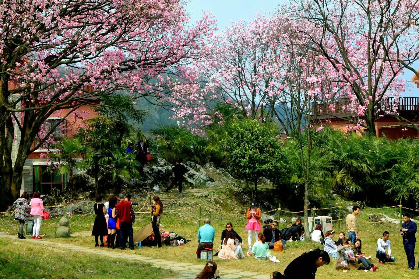 Beichuan Yaowang Valley - iNEWS