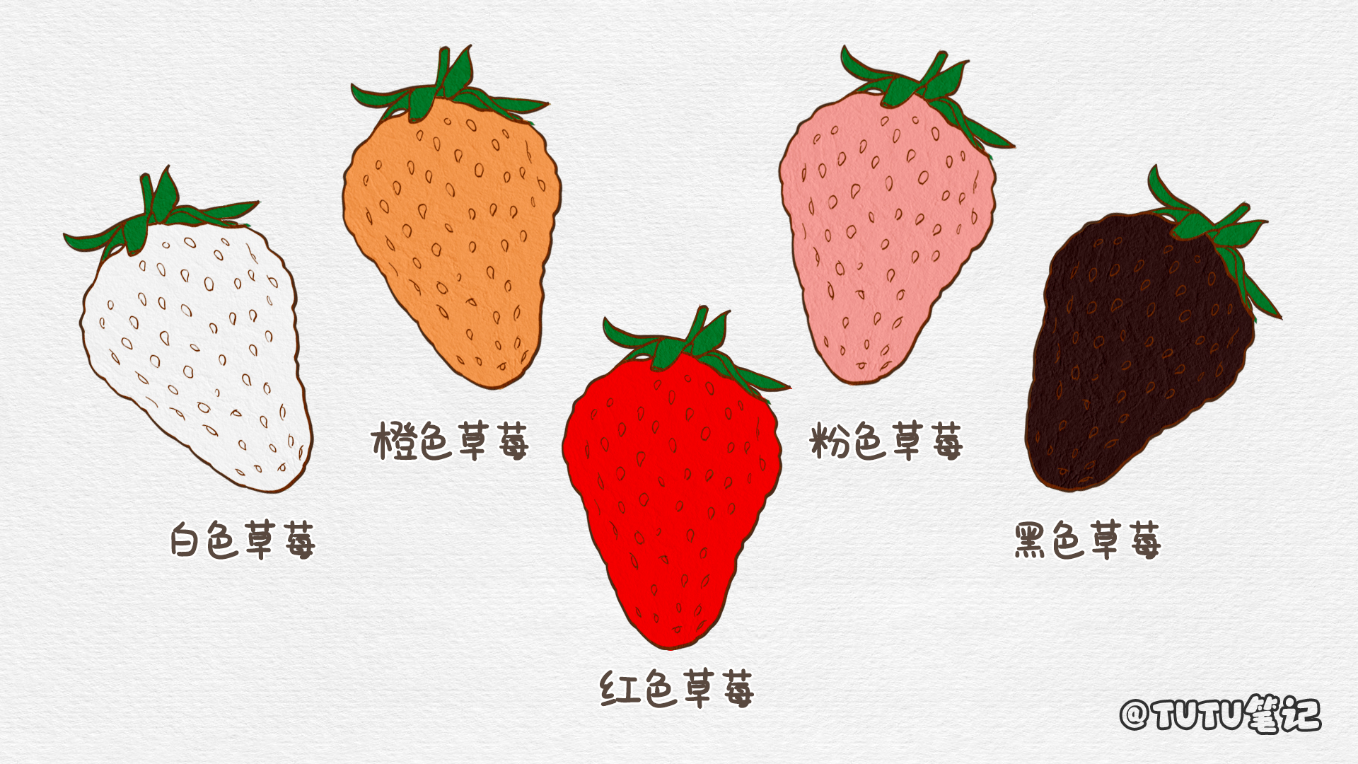 Have you ever eaten black strawberries? What are the different colors ...