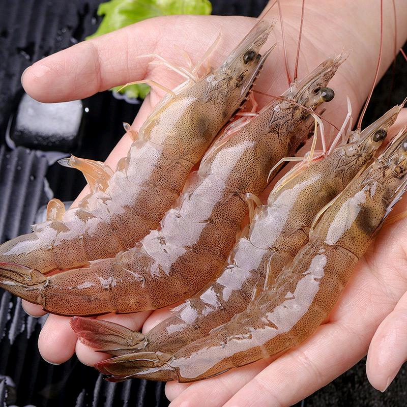 Little knowledge and practice of jiwei shrimp - iNEWS