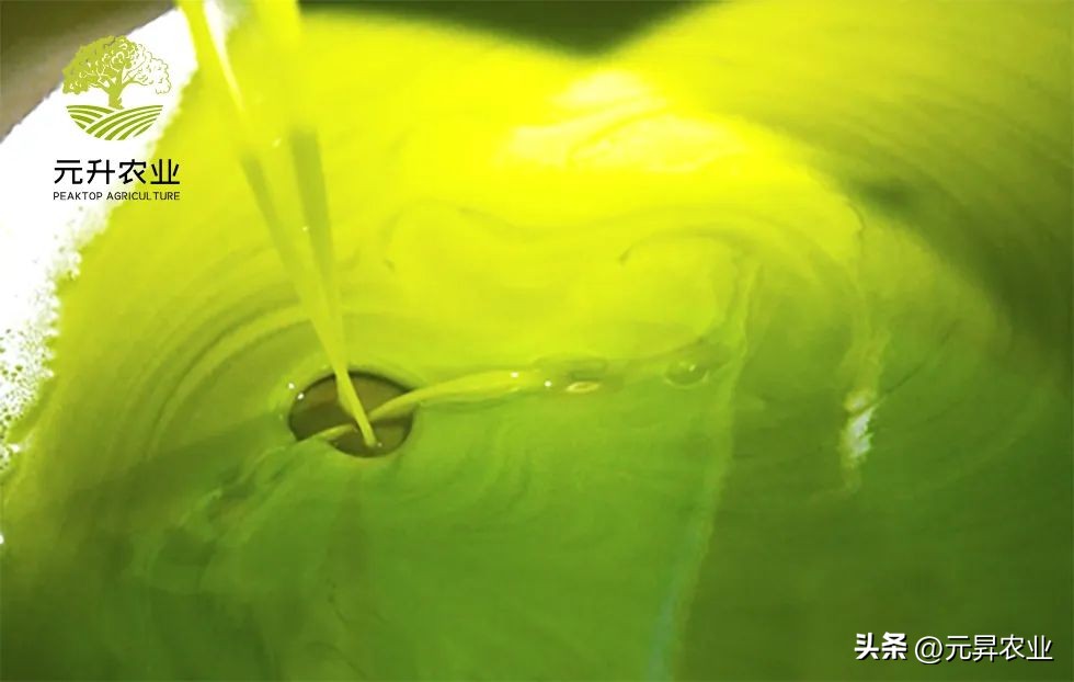 Auxiliary blood fat reduction, escort for health - iMedia