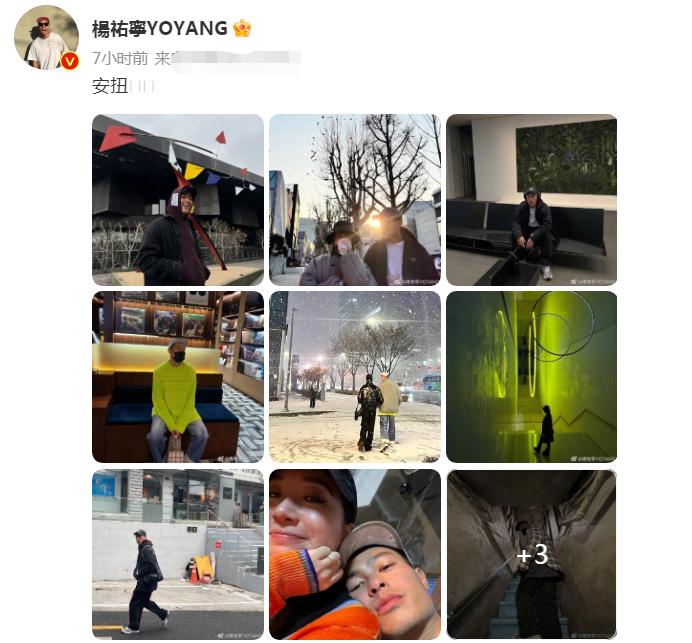 Yang Youning and Amei traveled to Seoul, the koala hugged his beloved ...