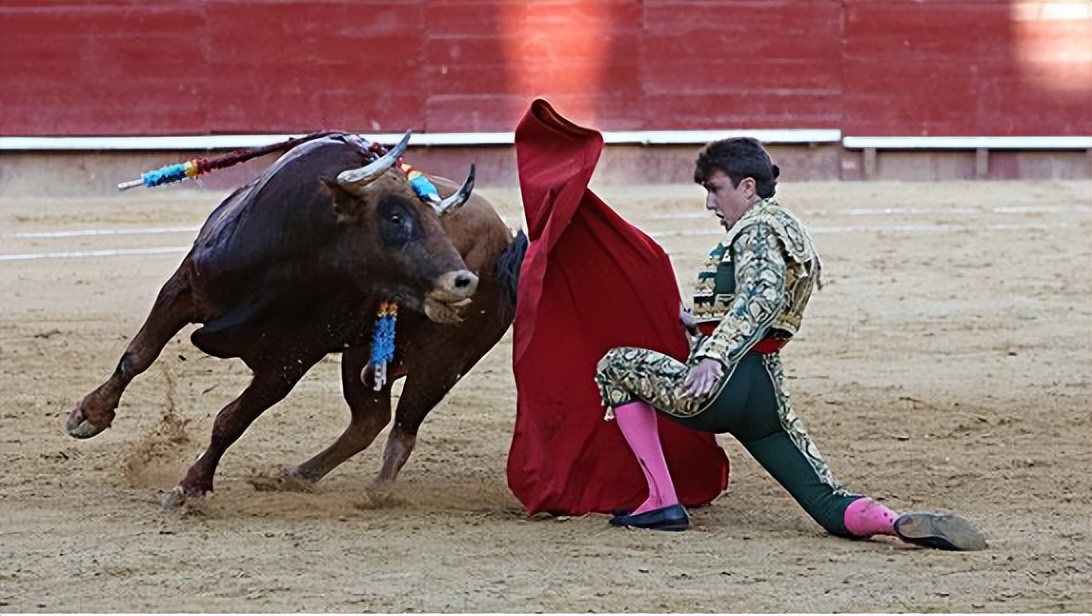 The matador always stimulates the bull with a red cloak, does the red ...