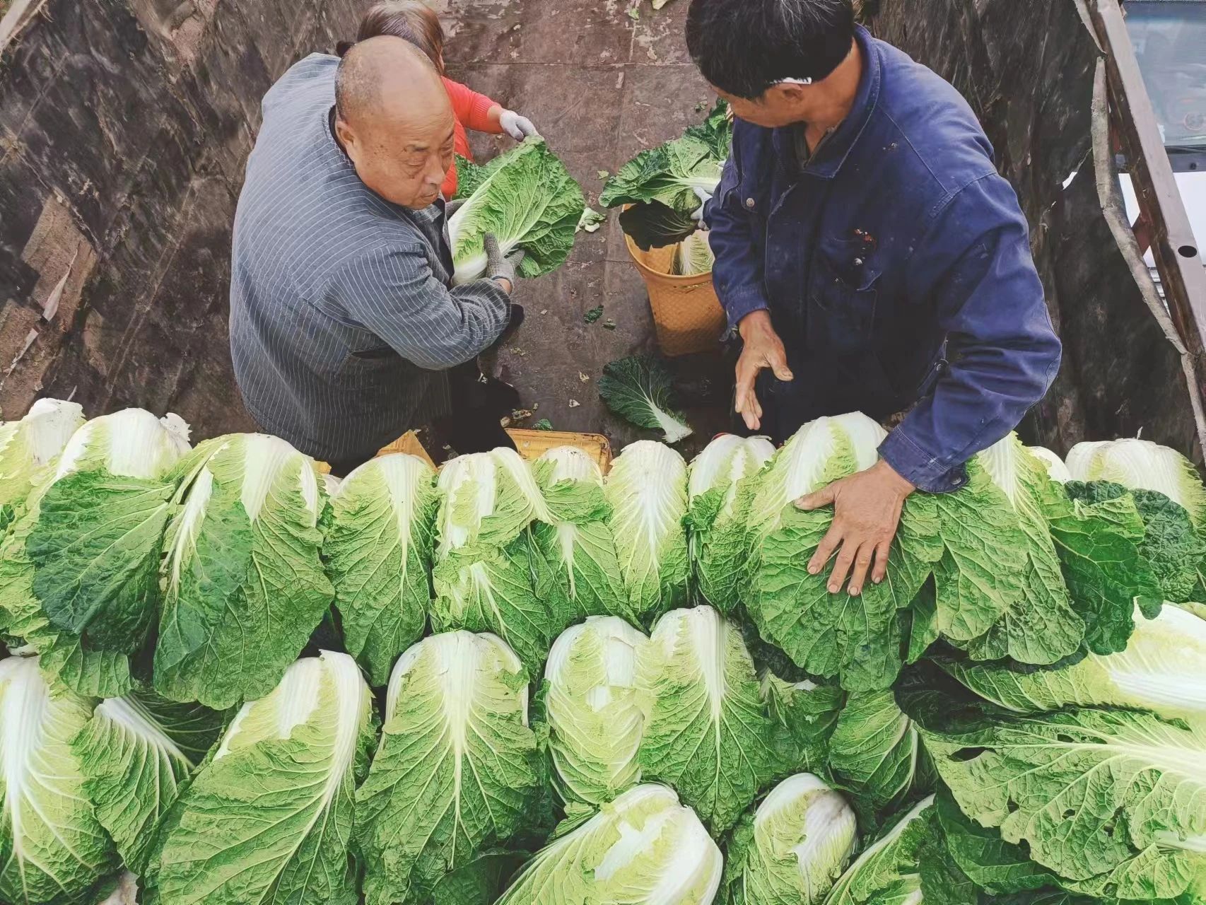 "Kyushu Literature" Chen Yuan Style - iNEWS