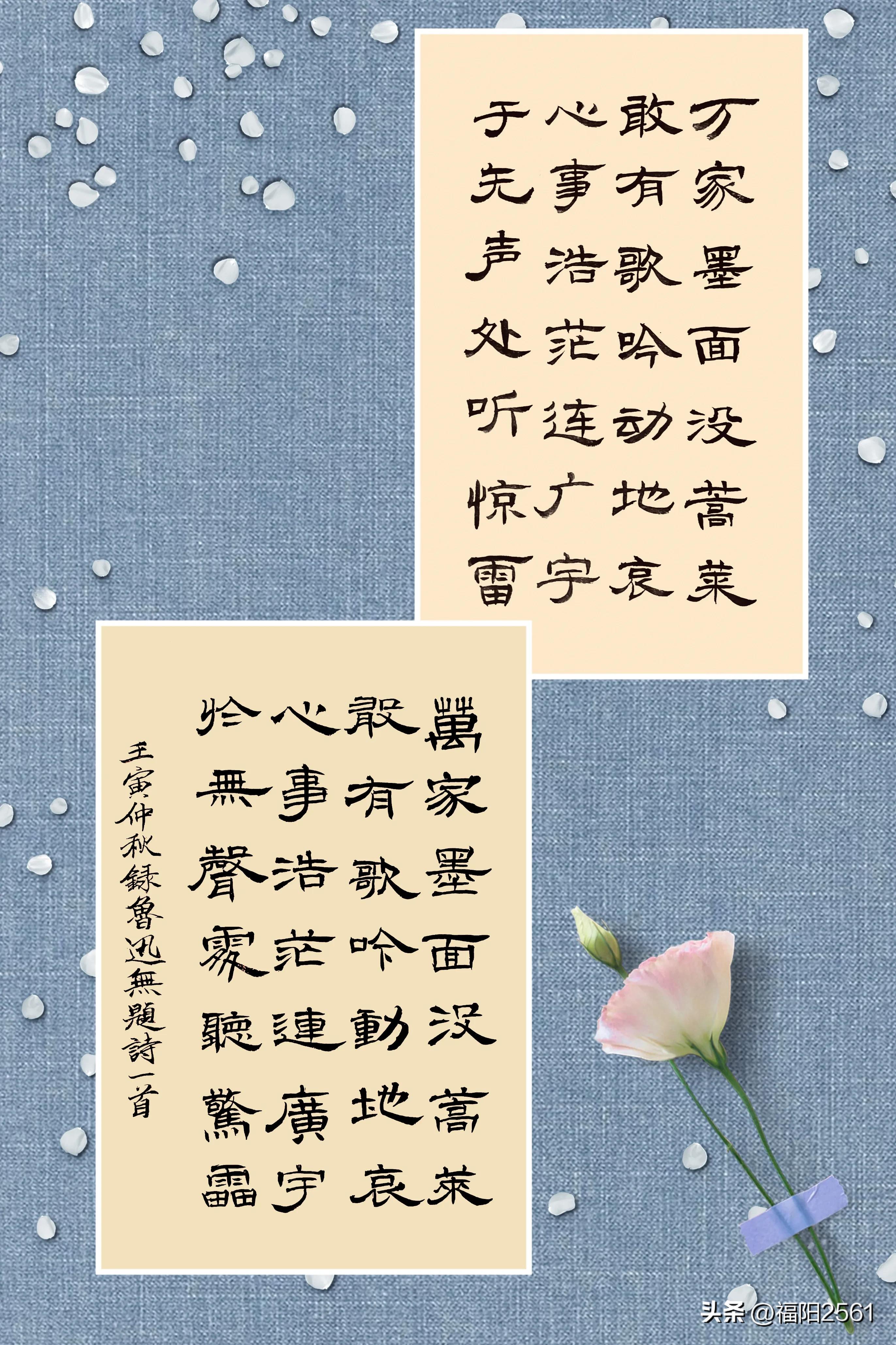 A story about writing clerical script - iNEWS