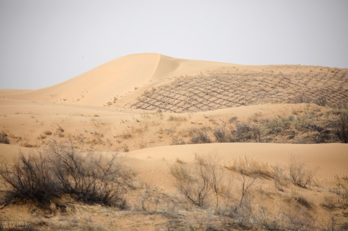Why do we attach so much importance to desertification control ...