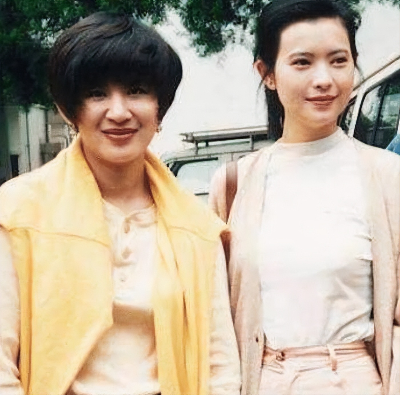 How beautiful was Lan Jieying when she was young? The comparison with ...