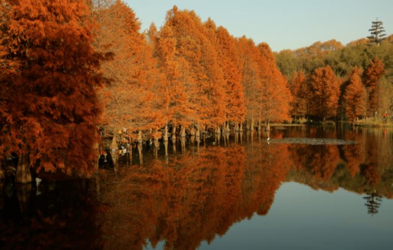 Newcomers enter the building for the first time - iNEWS