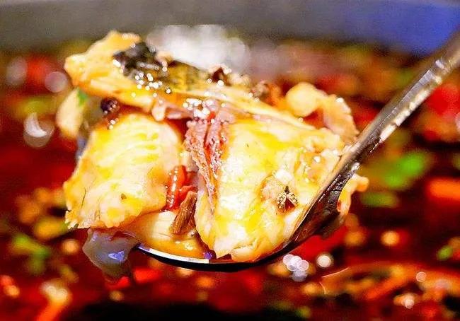 Beautiful frog fish hot pot, greedy!hungry - iNEWS