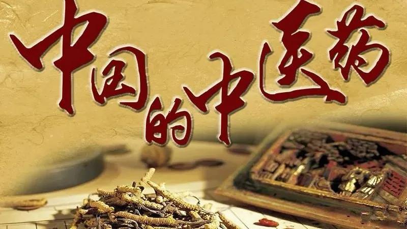 Heartache! External forces trample on traditional Chinese medicine and ...