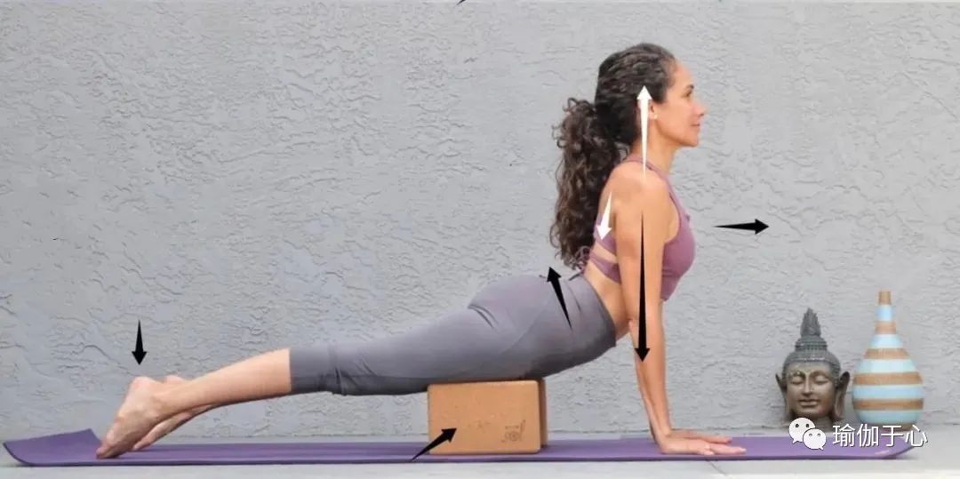 How to practice yoga dog pose? - iNEWS