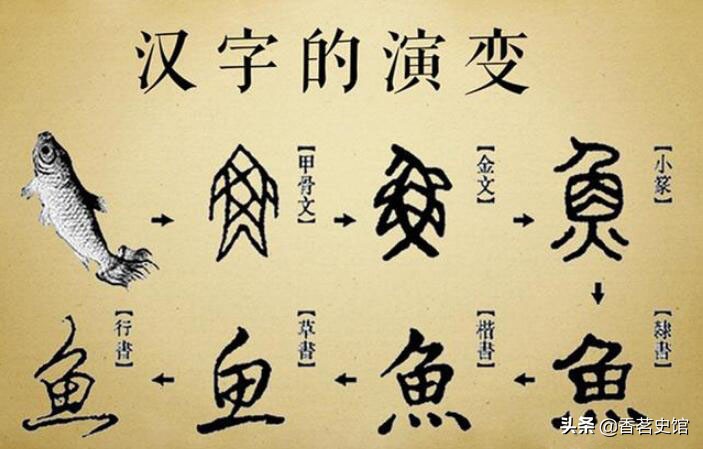 Briefly describe the evolution history of Chinese characters from ...