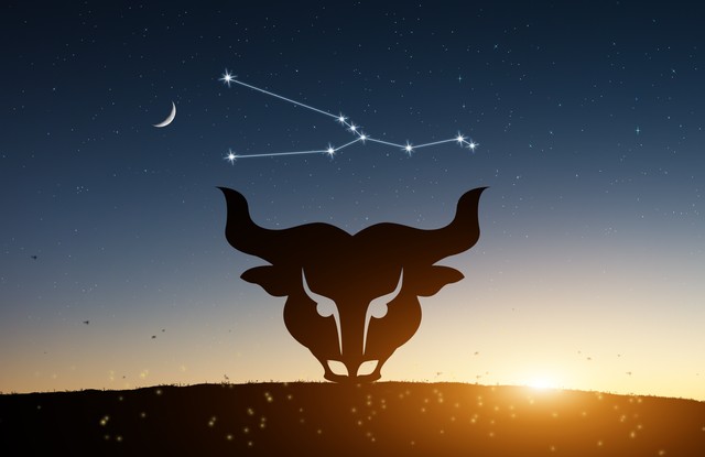 The more cautious and independent, the more successful constellation ...