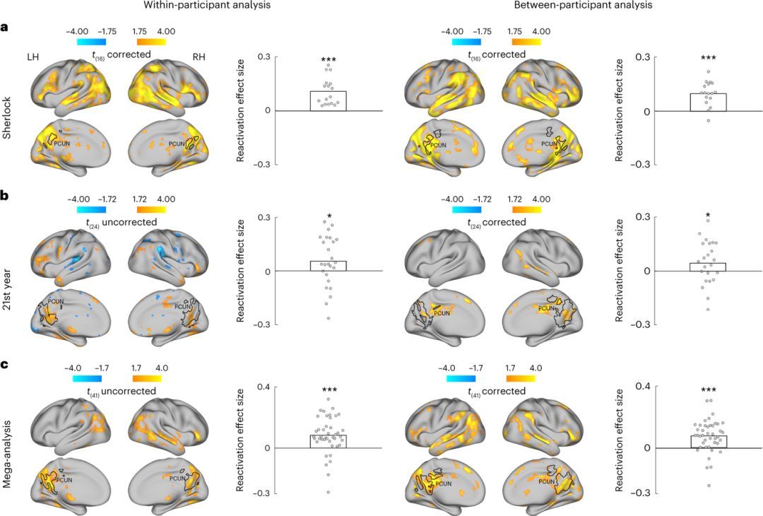 Nat Neurosci: How do we perceive the world continuously? - iMedia