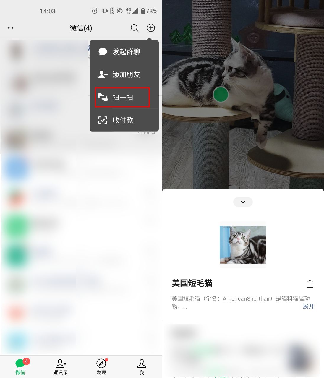 How to identify animals? let me teach you a few tricks - iMedia