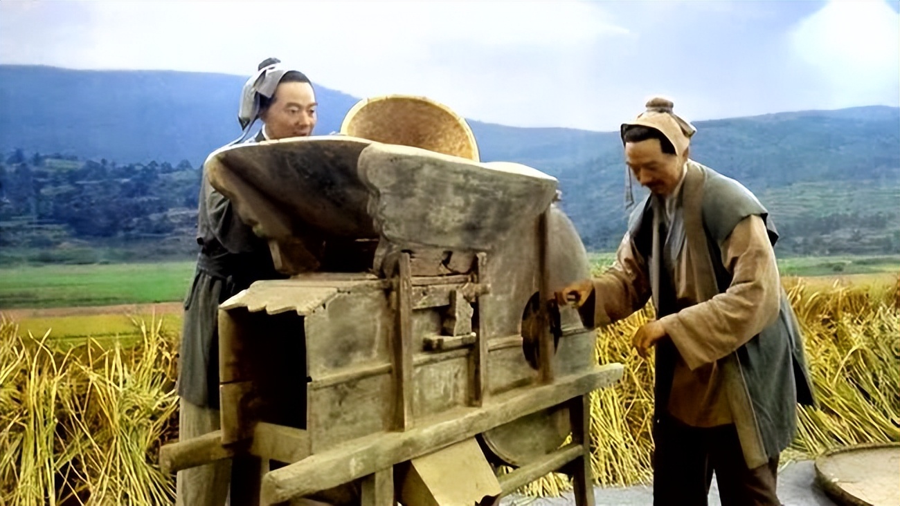 Explore ancient Chinese grain and grass, its classification and origin ...