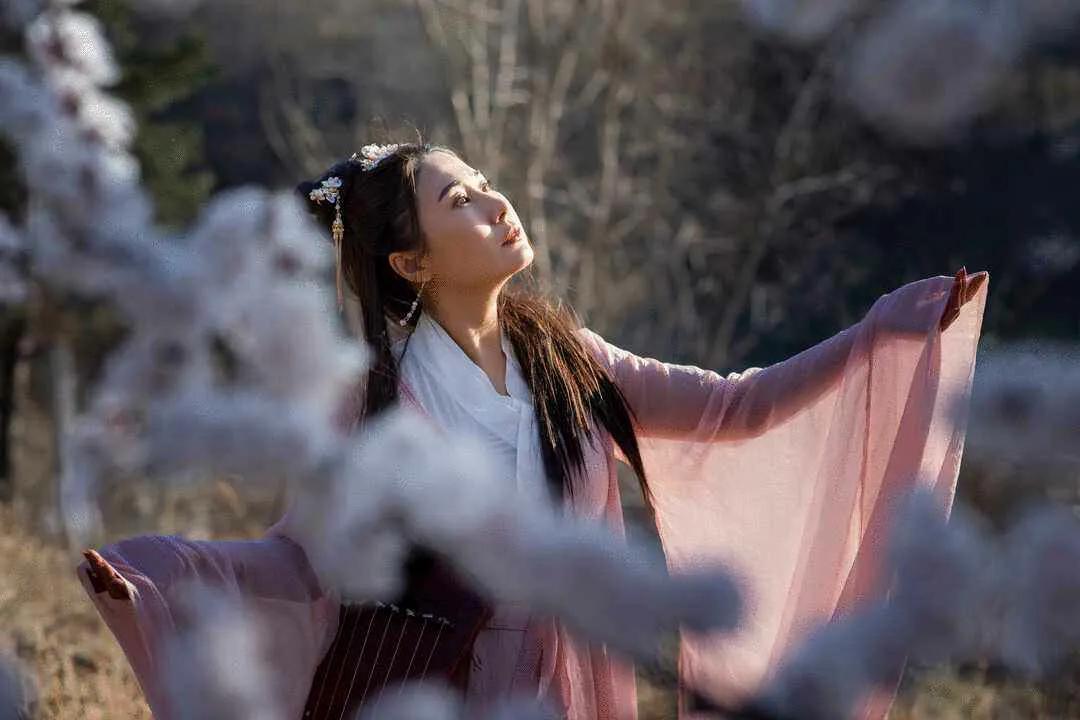 Wei language poems Lanting elegant rhyme ancient spread - iMedia