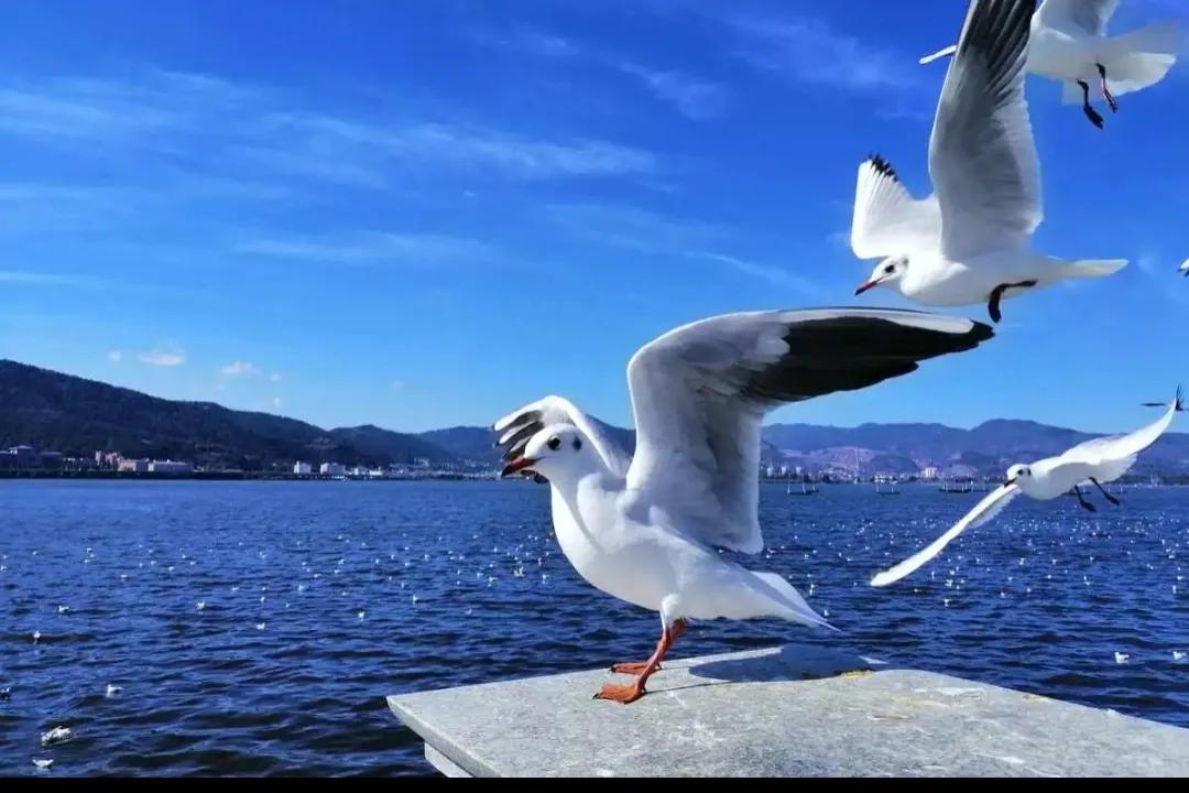 Summer is suitable for travel and the three cities are livable. - iNEWS