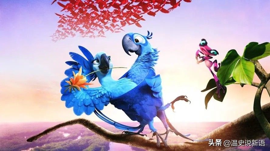 Appreciation and Analysis of Color Art in the Movie "Rio Adventure ...