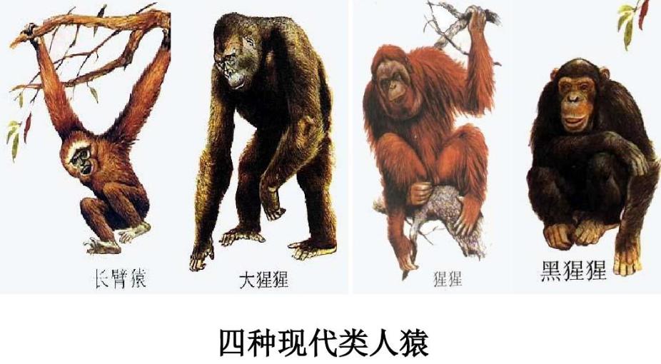 Who were the first two people to appear on earth? Why do you need a man ...