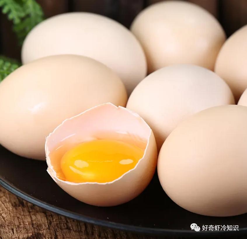 Early signs of teeth?Are raw eggs susceptible to bacterial infection ...