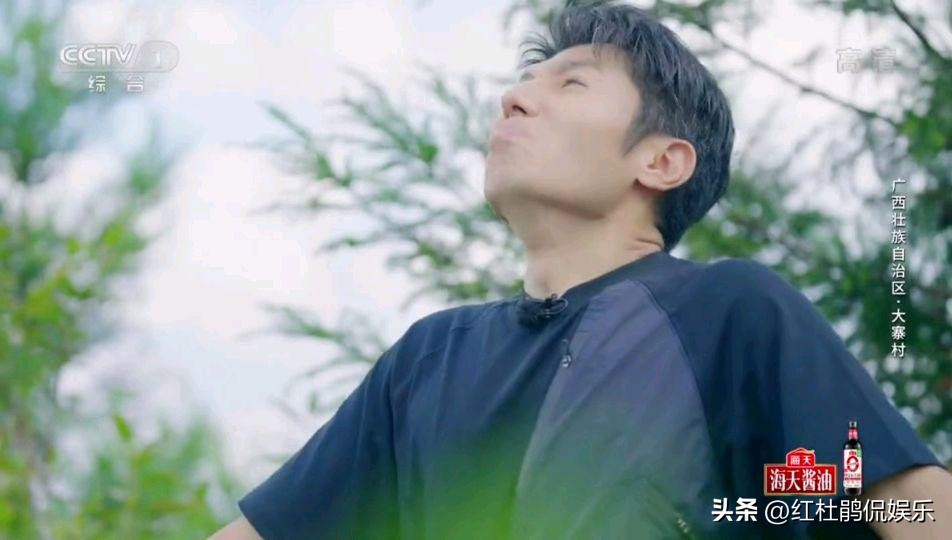 "Home Between Landscapes" CCTV host went to the countryside to ...