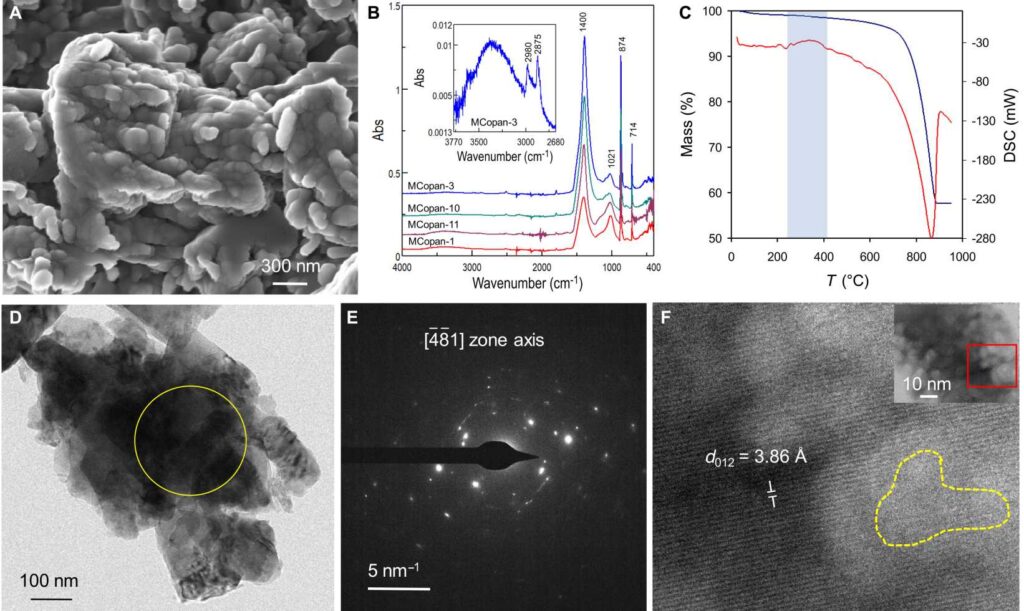 Archaeologists unlock secrets of ancient Mayan builders - iMedia