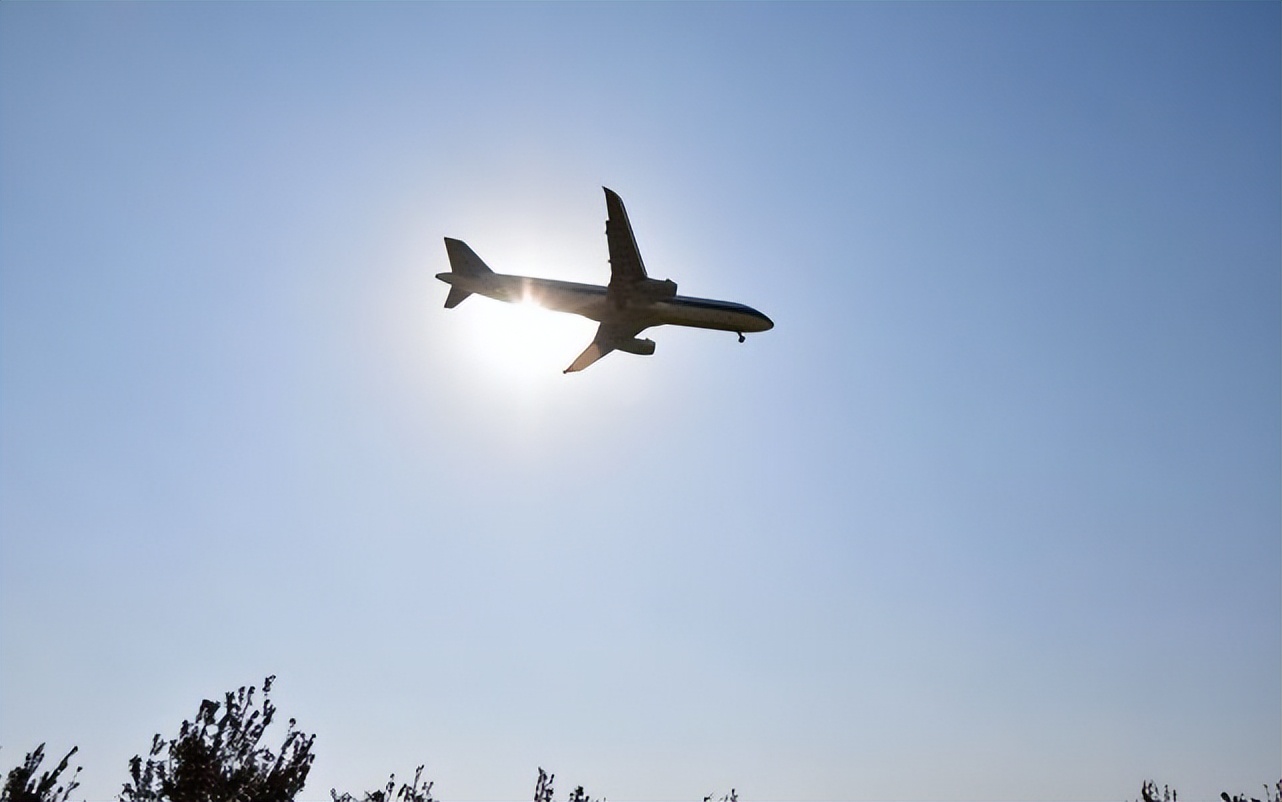 When planes and birds fly high, why can't their shadows be seen on the ...