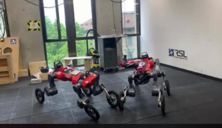 Four-wheeled upright robot, exercise recorder, plateau patrol assistant ...