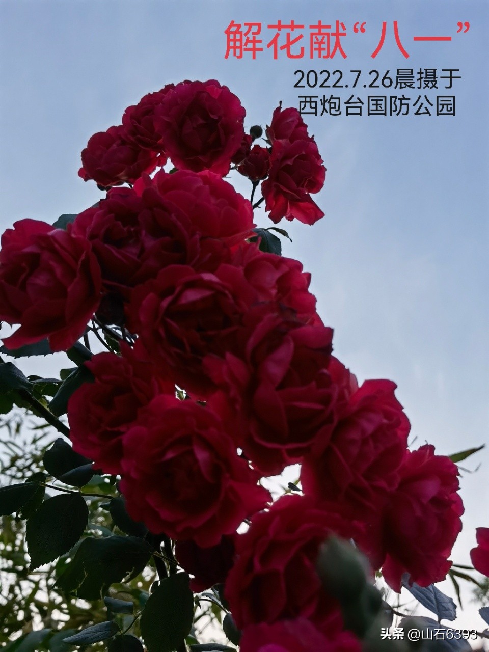 "Comrade-in-arms' beautiful text" Sun Mingyong's "August 1st Message ...