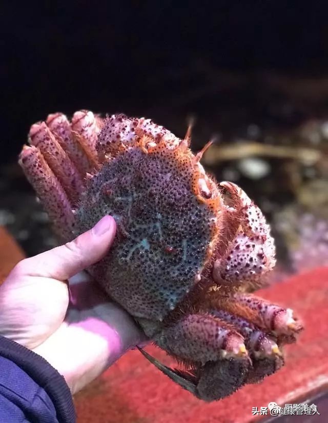 The world's top seafood (three, crab) - iNEWS