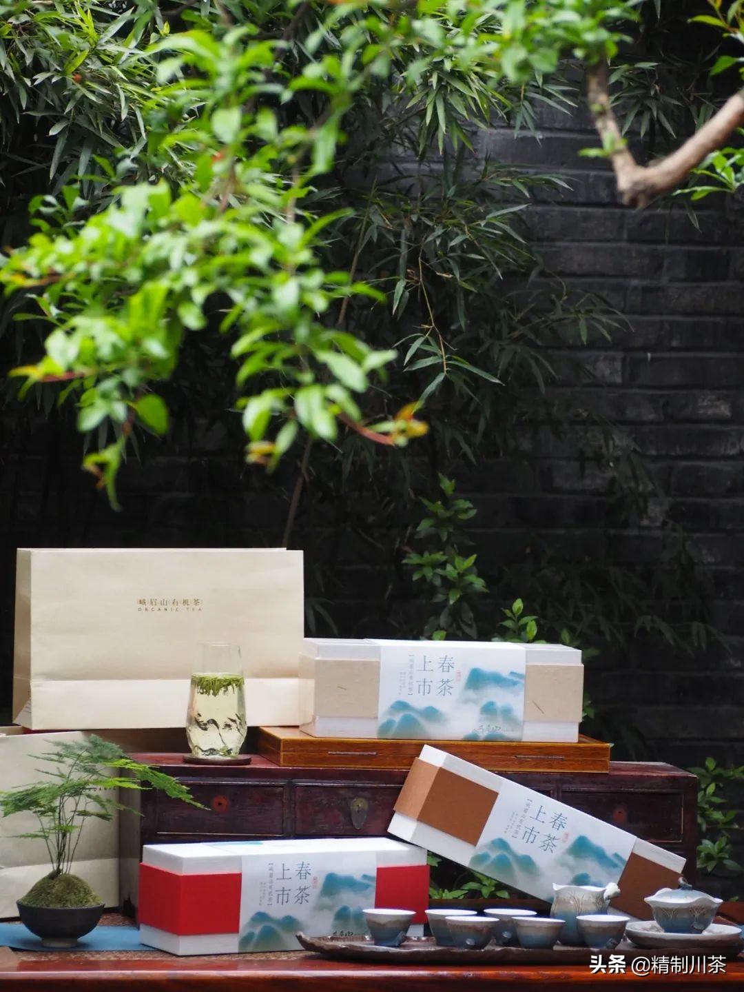 The most beautiful April tea in the world - iNEWS