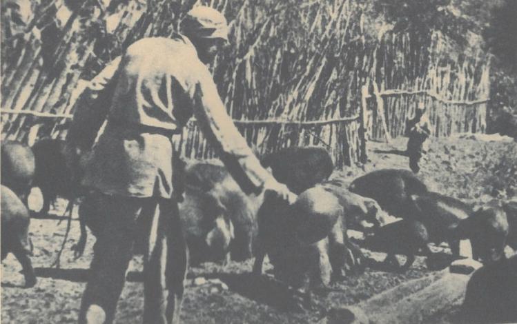 The story of the New Fourth Army in Funing - elite soldiers, simplified ...