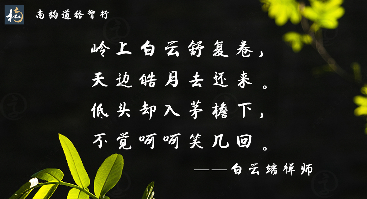 Six exquisite little Zen poems to share, fresh and elegant, will calm ...