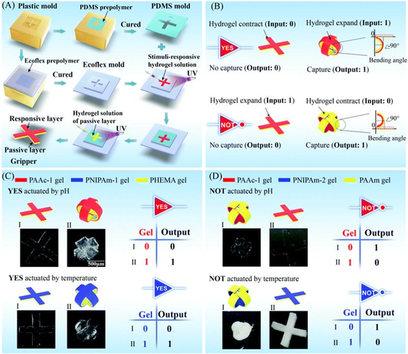 Northwestern Polytechnical University: Hydrogel Small Soft Grippers ...