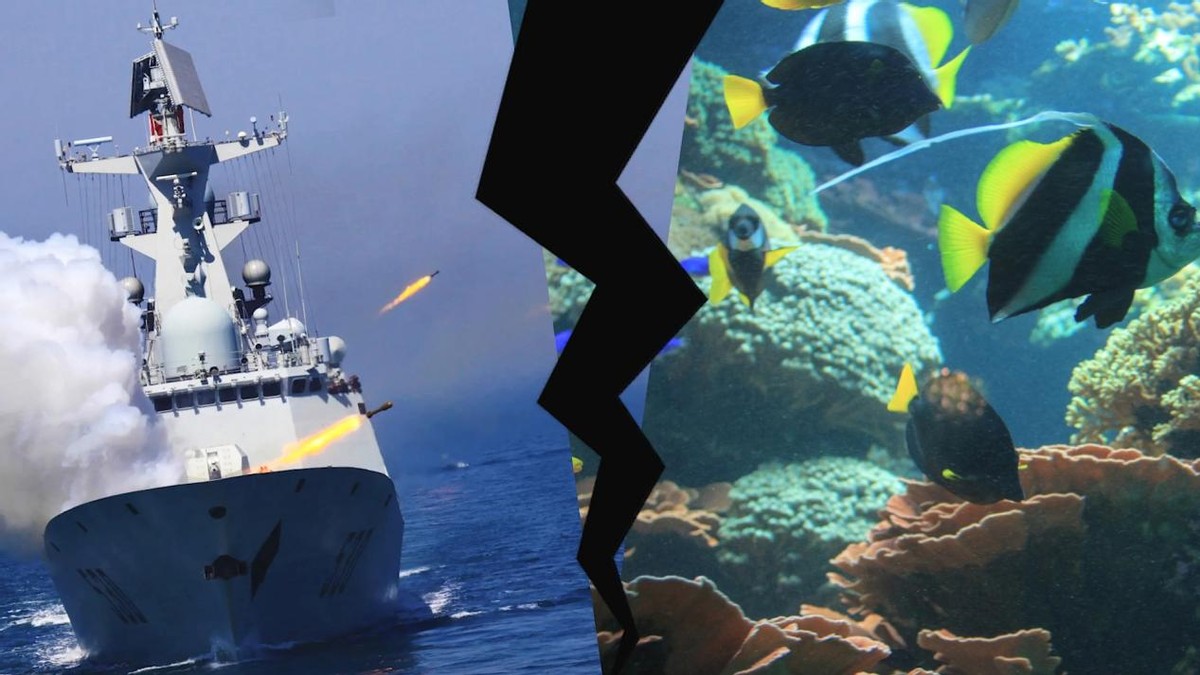 What to do with the fish killed in the naval exercise?Can I take it ...