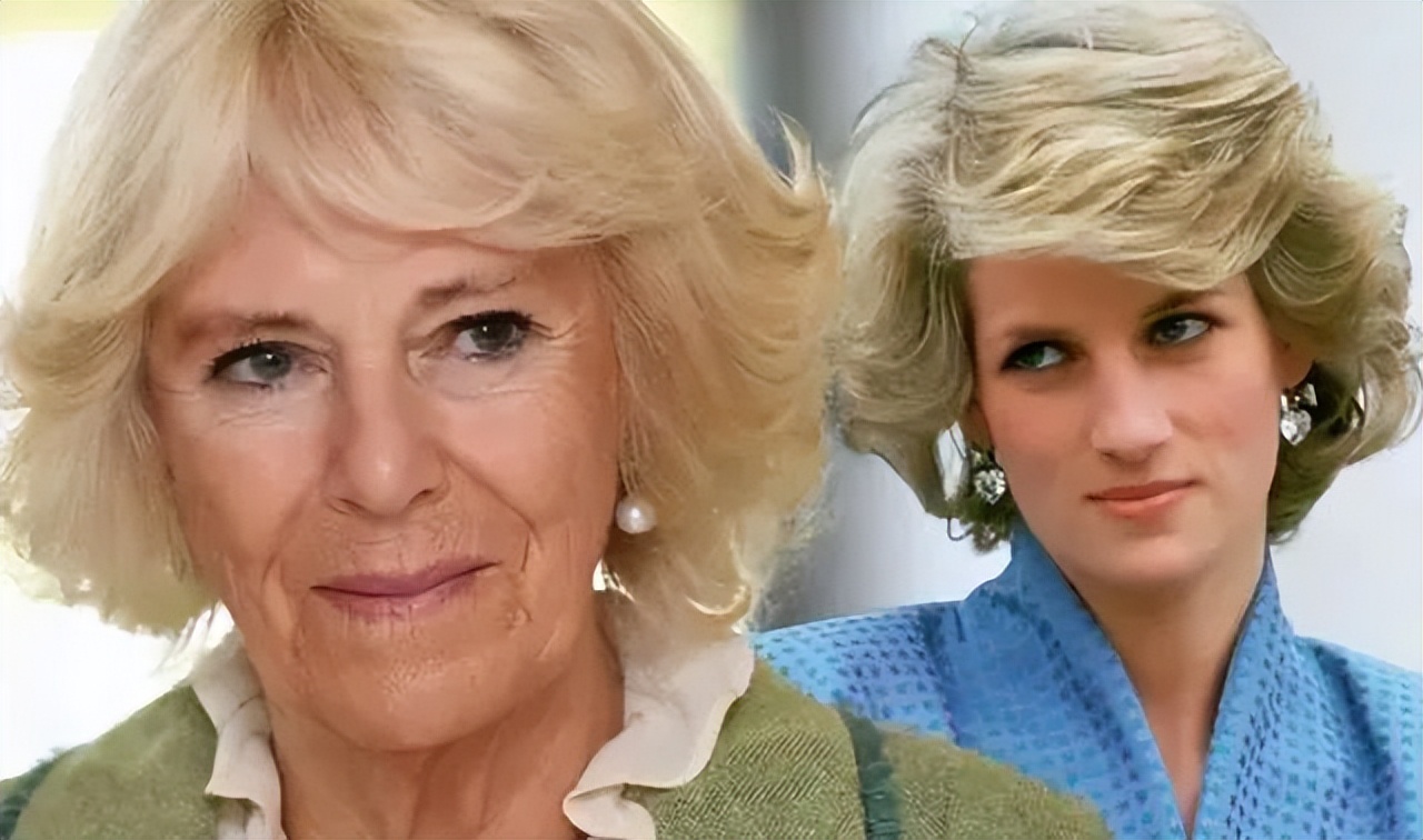 What is the charm of this woman Camilla? Let Charles insist on marrying ...