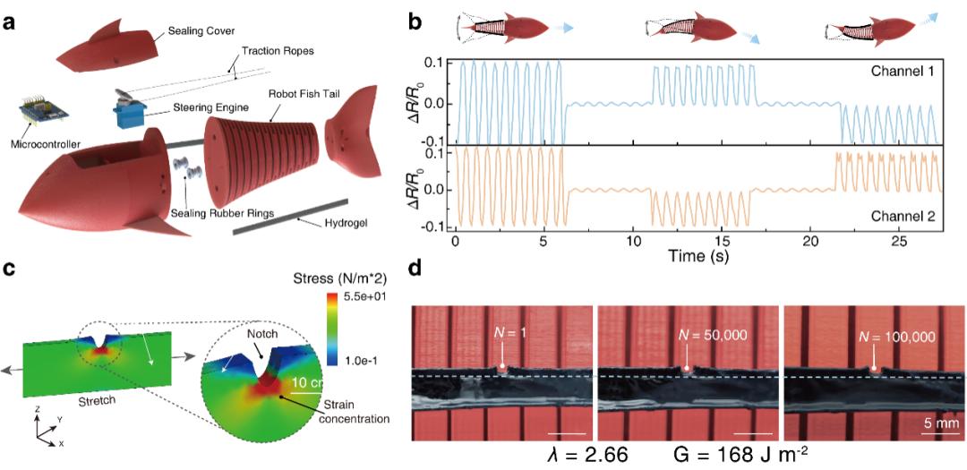 Fatigue-resistant conductive polymer hydrogel strain sensors for ...