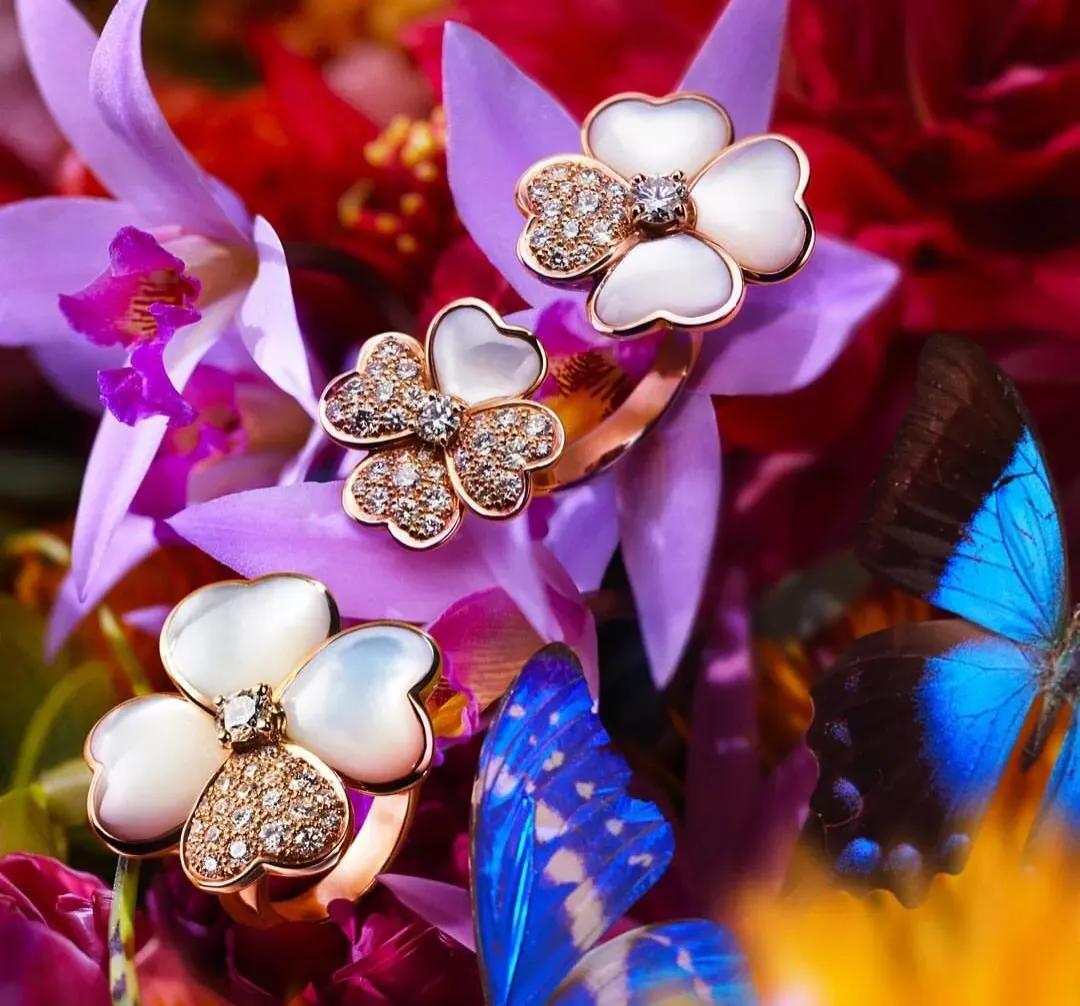 Gorgeous, noble and light, wanting to give people the feeling of "rich ...