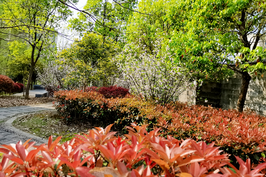 General Han Dang who can't rest his eyes - iNEWS