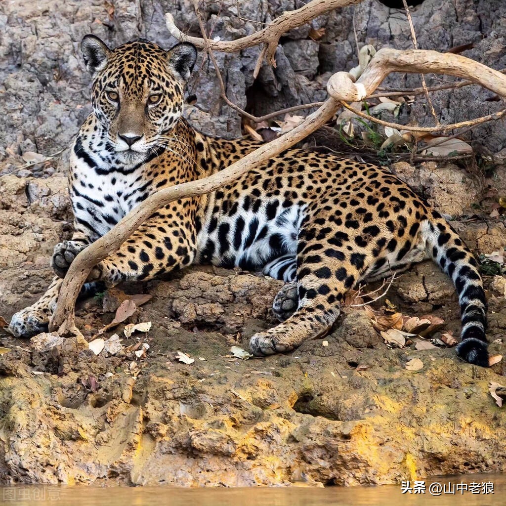 In Tianjin, one of the four municipalities directly under the Central ...