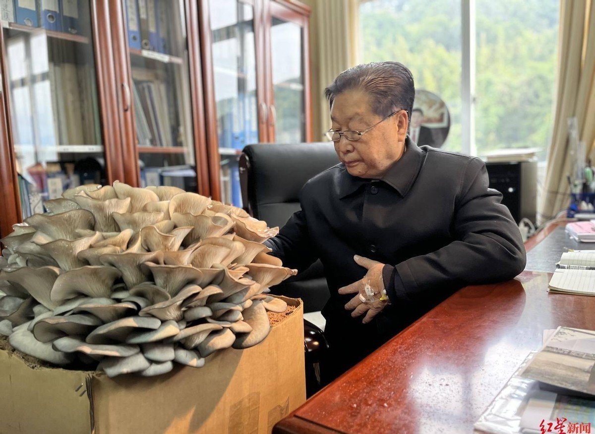 The story of "Professor Ling" in "Mountains and Seas" has a complete ...