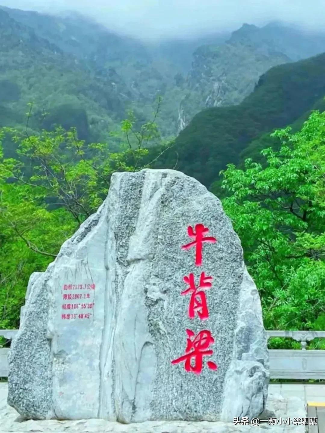 Niubeiliang Forest Park, a natural oxygen bar deep in the Qinling ...