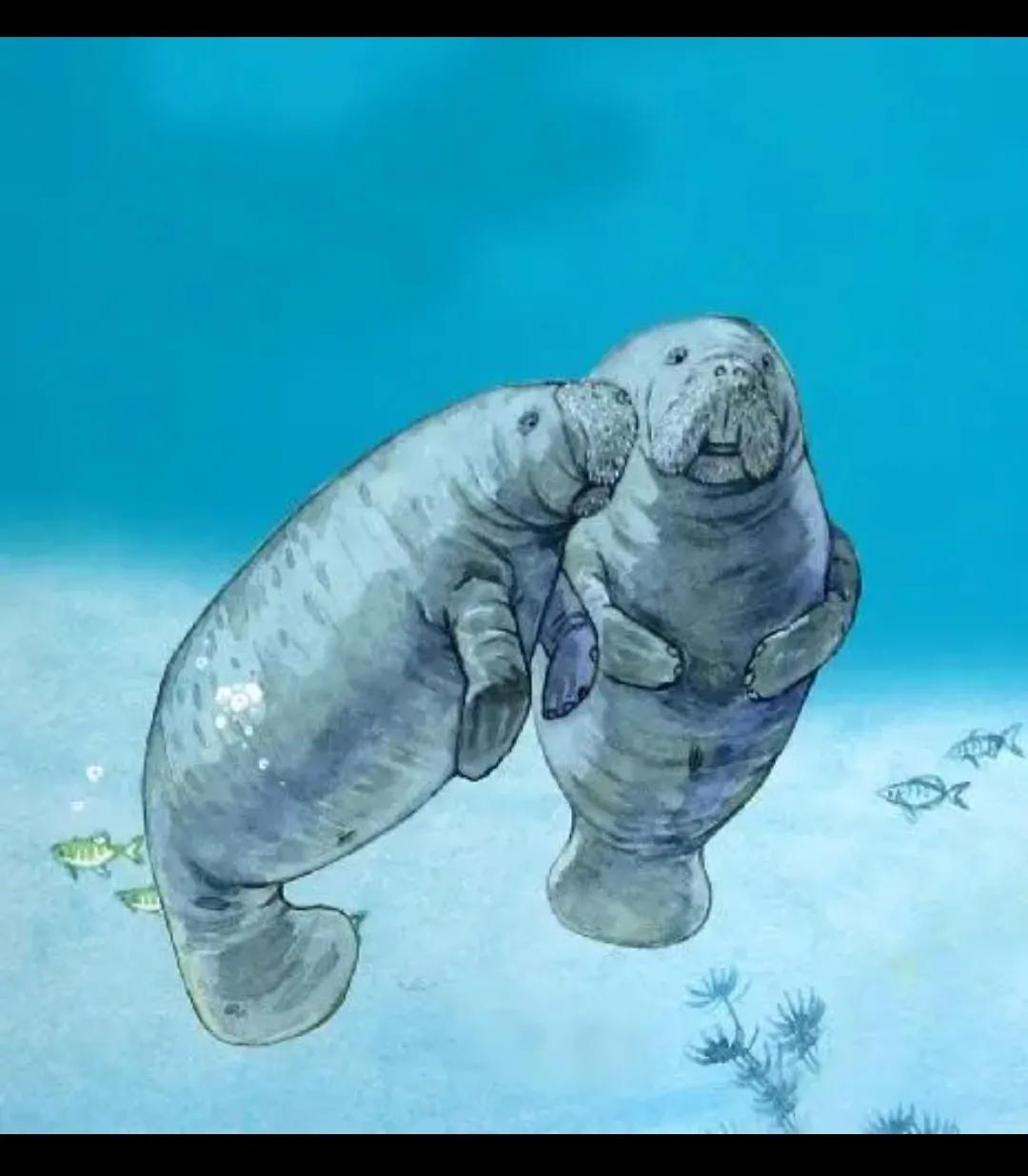 Real-life 'mermaid' prototype listed as functionally extinct - iNEWS